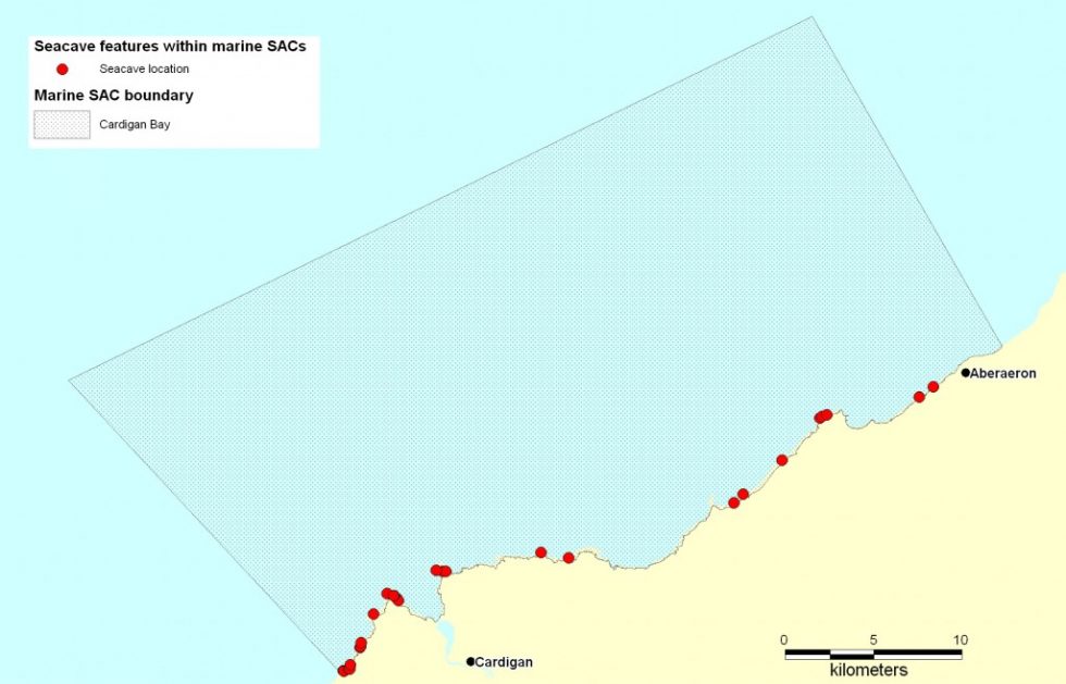 Sea Caves | Cardigan Bay SAC